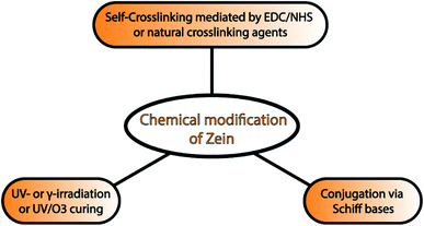 Zein as a versatile biopolymer: different shapes for different ...