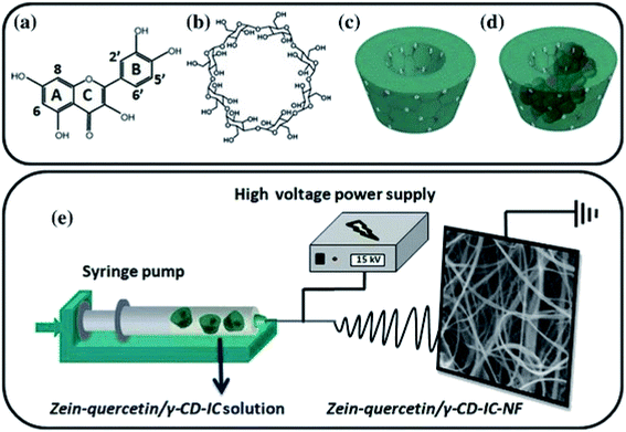 Zein as a versatile biopolymer: different shapes for different ...
