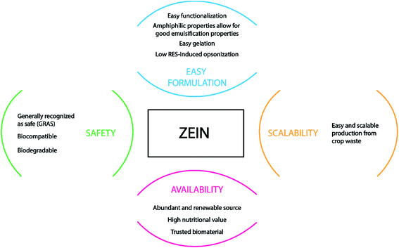Zein as a versatile biopolymer: different shapes for different ...