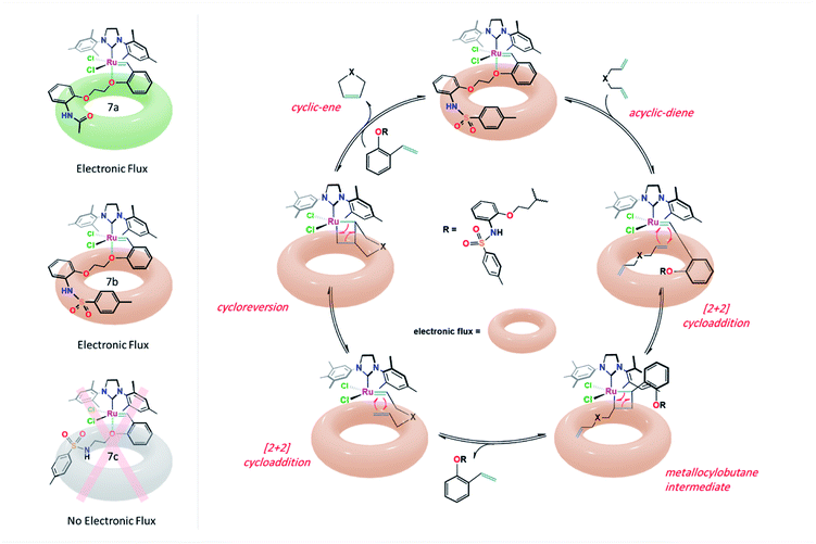 Highly efficient Ru( ii )–alkylidene based Hoveyda–Grubbs catalysts for ...
