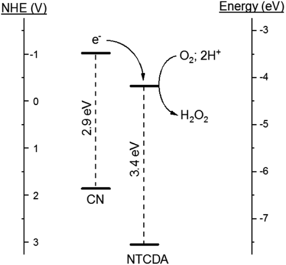 1,4,5,8-Naphthalene tetracarboxylate dianhydride/g-C 3 N 4 van der ...