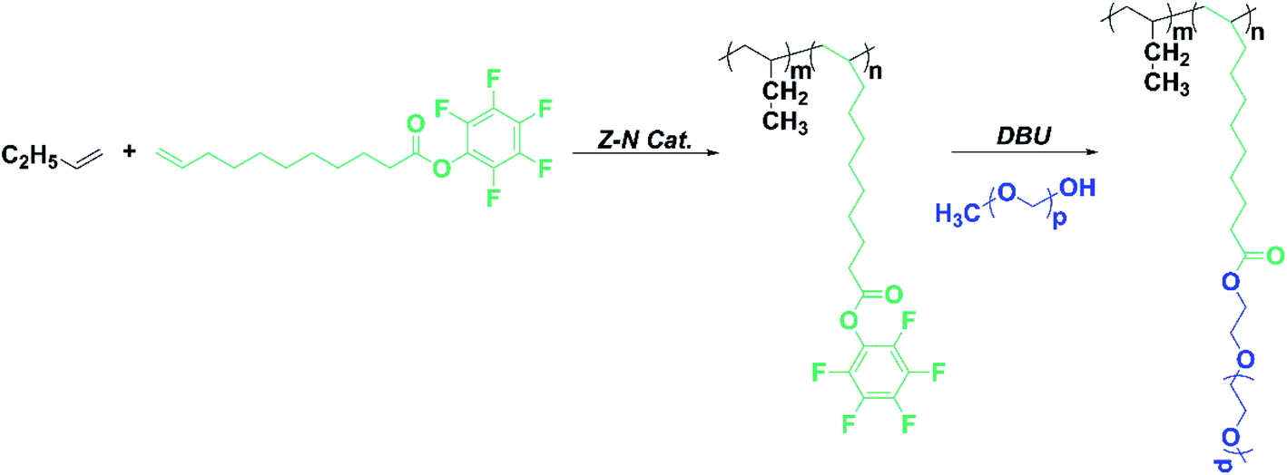 Preparation and crystalline transformation of functionalized poly(1 ...