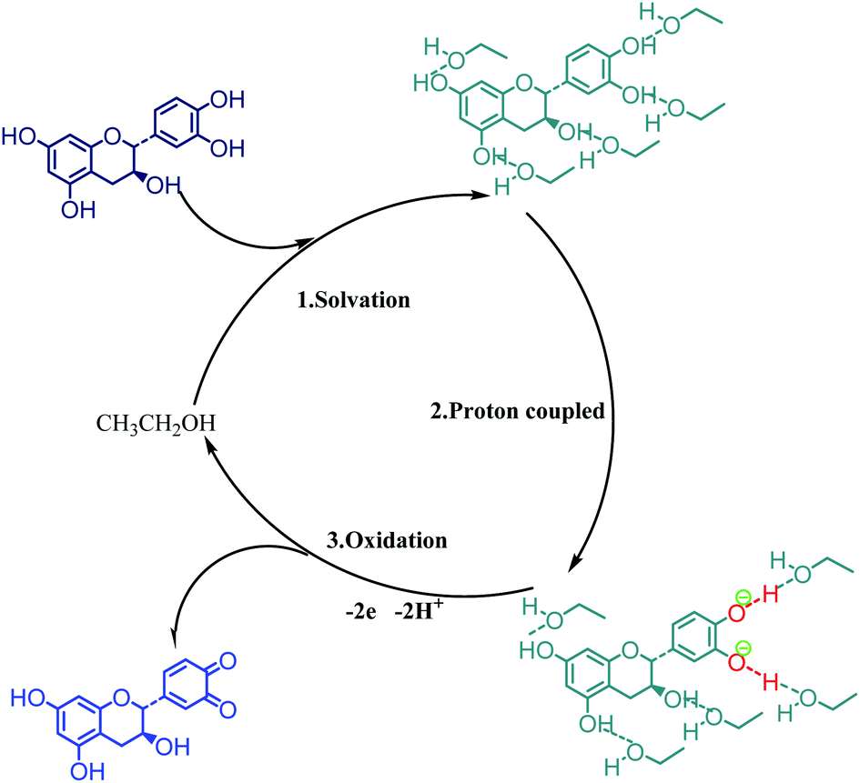 Proton-coupled electron transfer of catechin in tea wine: the enhanced ...