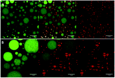 Recent progress in Pickering emulsions stabilised by bioderived ...