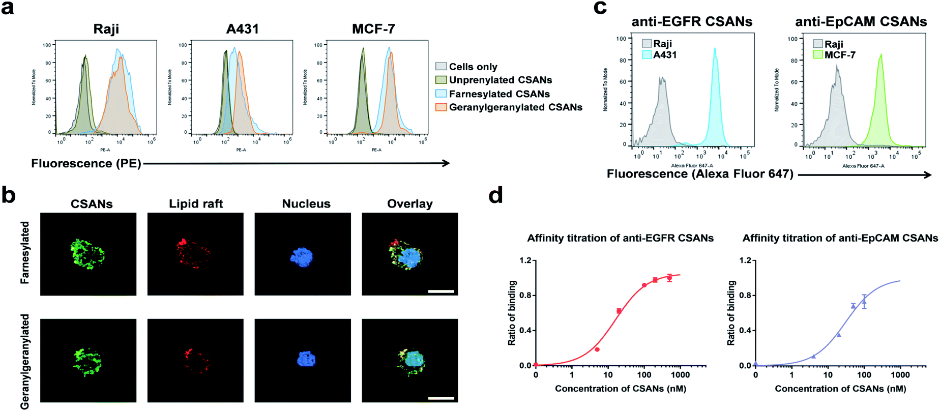 Engineering reversible cell–cell interactions using enzymatically ...