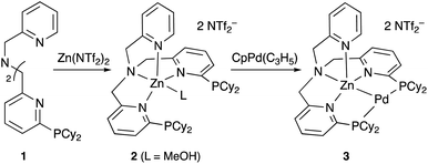 Catalysis using transition metal complexes featuring main group metal ...