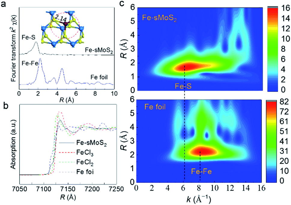 Structural insight into [Fe–S 2 –Mo] motif in electrochemical reduction ...