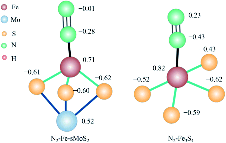 Structural insight into [Fe–S 2 –Mo] motif in electrochemical reduction ...