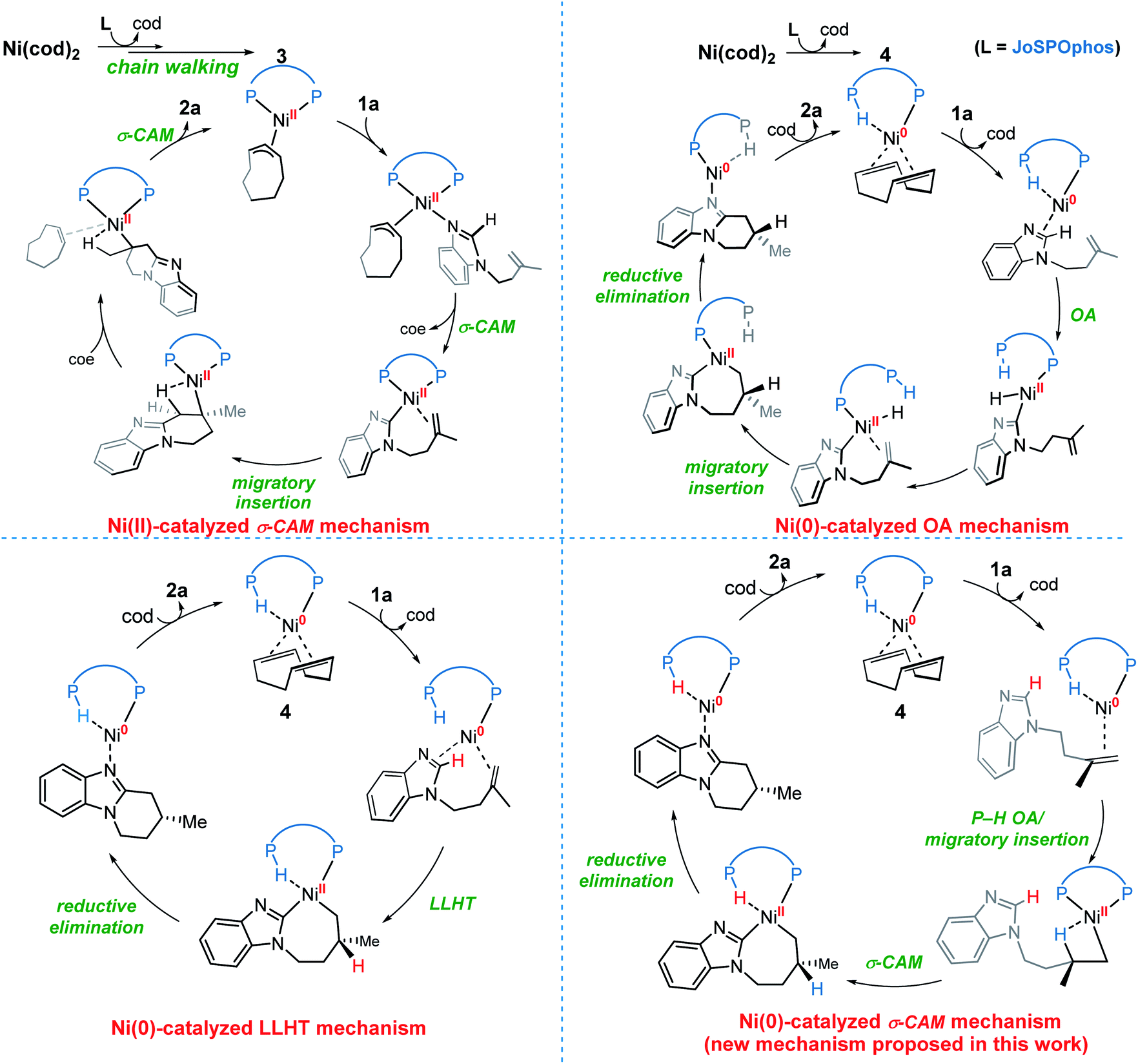 Understanding the unique reactivity patterns of nickel/JoSPOphos ...
