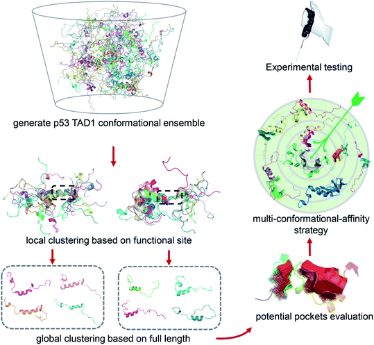 Computational strategy for intrinsically disordered protein ligand ...
