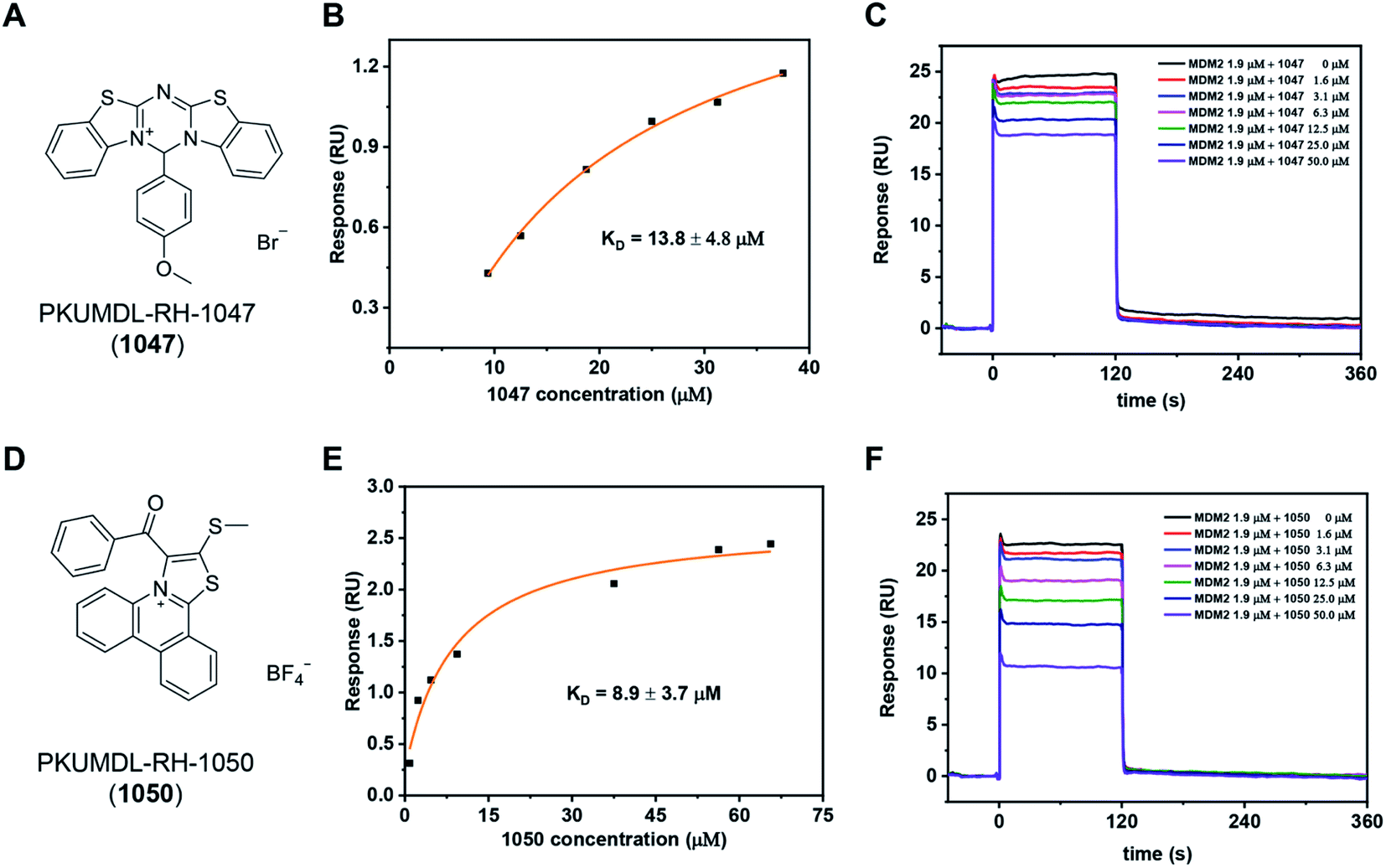 Computational strategy for intrinsically disordered protein ligand ...