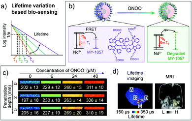 Activatable fluorescence sensors for in vivo bio-detection in the ...