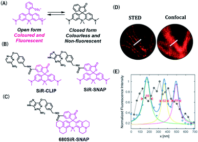 Near-infrared fluorescent probes: a next-generation tool for protein ...