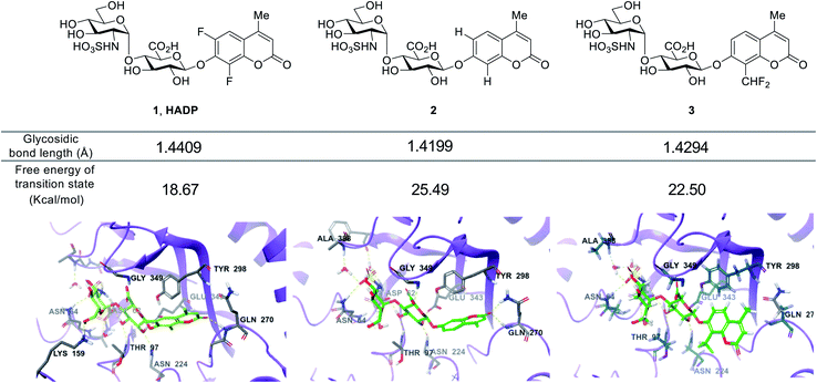 Ultrasensitive small molecule fluorogenic probe for human heparanase ...