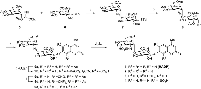 Ultrasensitive small molecule fluorogenic probe for human heparanase ...