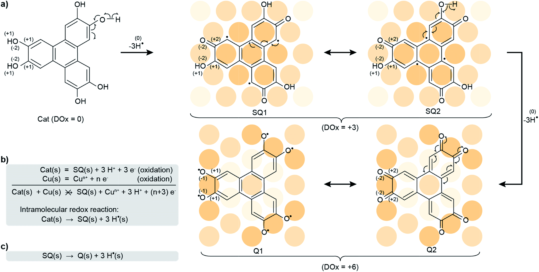 Copper-assisted oxidation of catechols into quinone derivatives ...