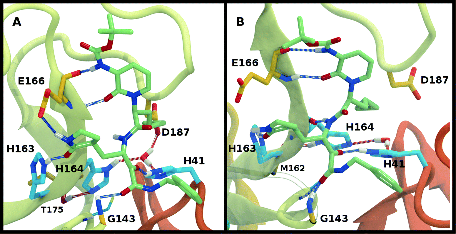Inhibitor binding influences the protonation states of histidines in ...