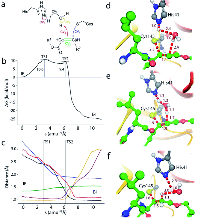 A microscopic description of SARS-CoV-2 main protease inhibition with ...