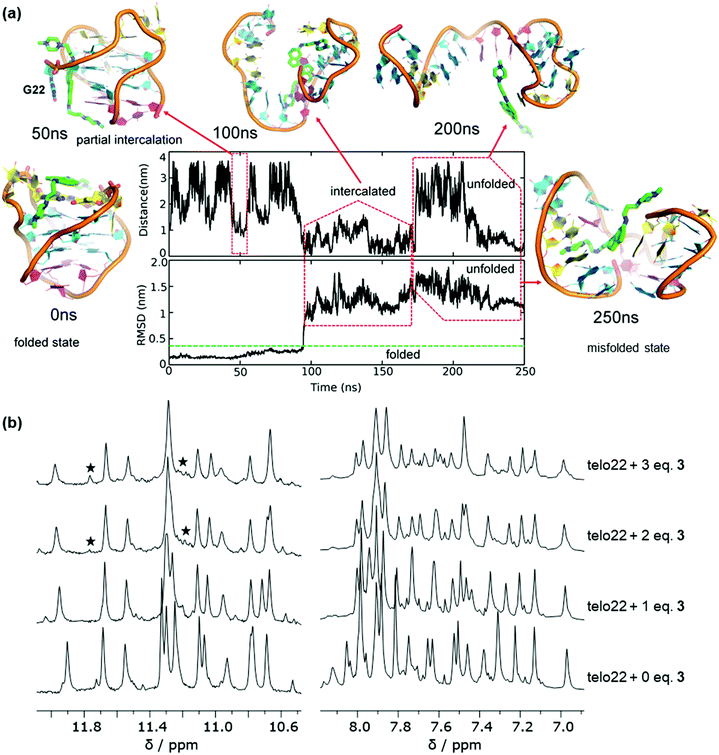 Enhanced sampling molecular dynamics simulations correctly predict the ...