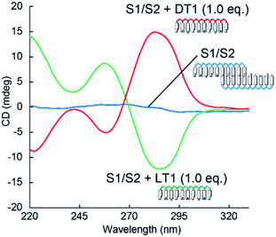 A helical amplification system composed of artificial nucleic acids ...