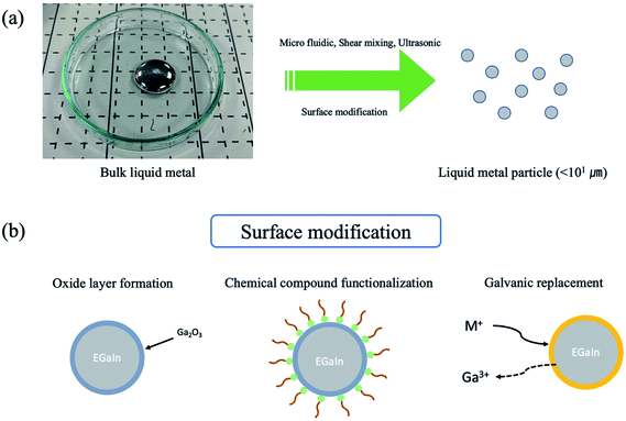 Surface modification of liquid metal as an effective approach for ...