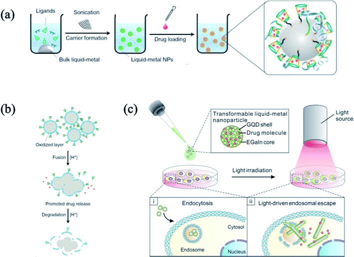 Surface modification of liquid metal as an effective approach for ...