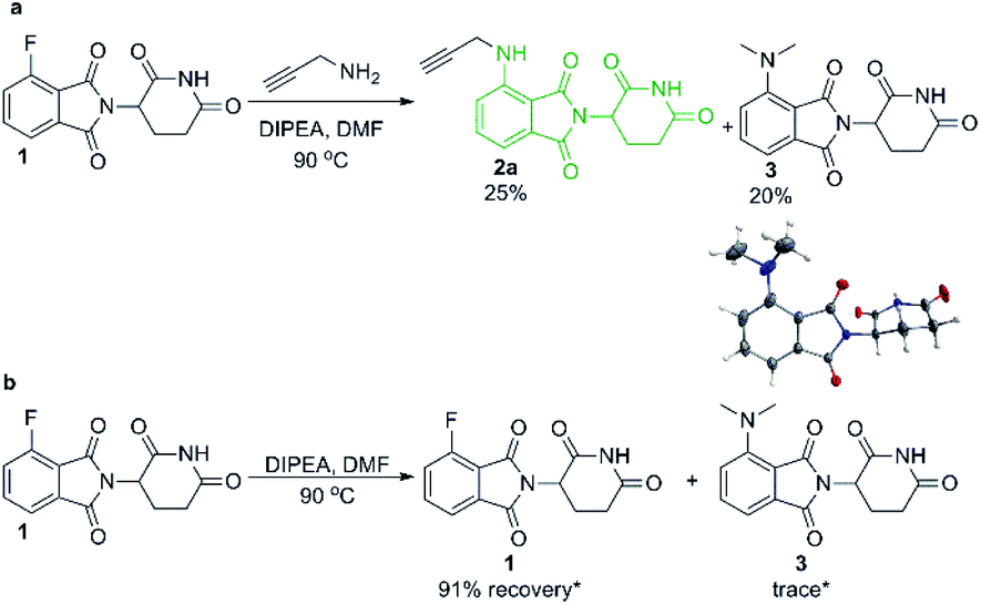 Rapid synthesis of pomalidomide-conjugates for the development of ...