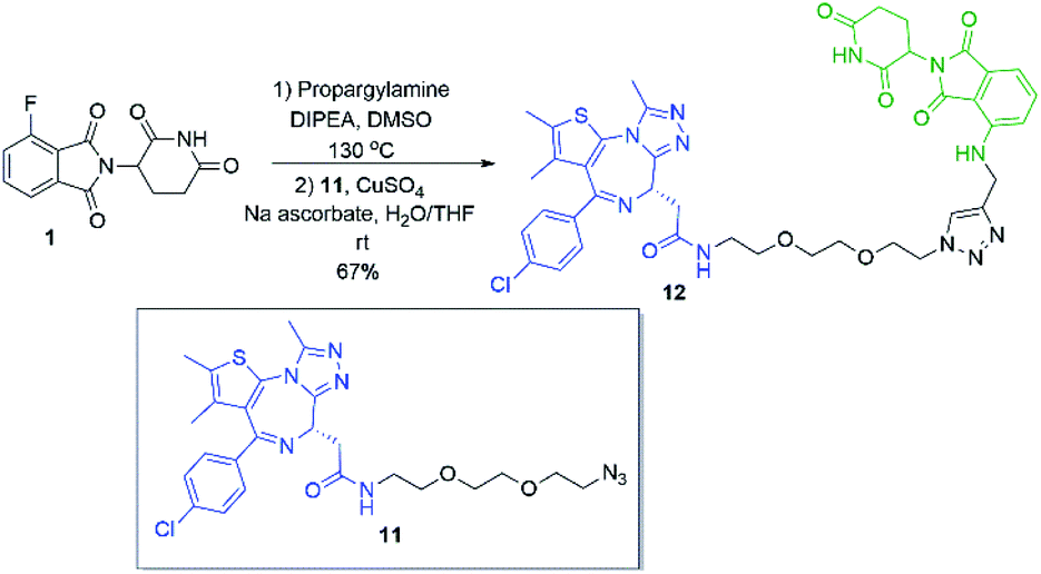 Rapid synthesis of pomalidomide-conjugates for the development of ...