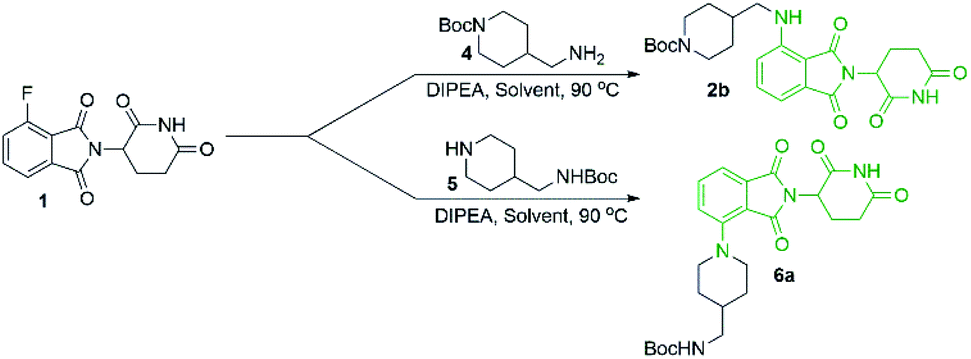 Rapid synthesis of pomalidomide-conjugates for the development of ...