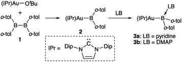 Nucleophilic reactivity of the gold atom in a diarylborylgold( i ...