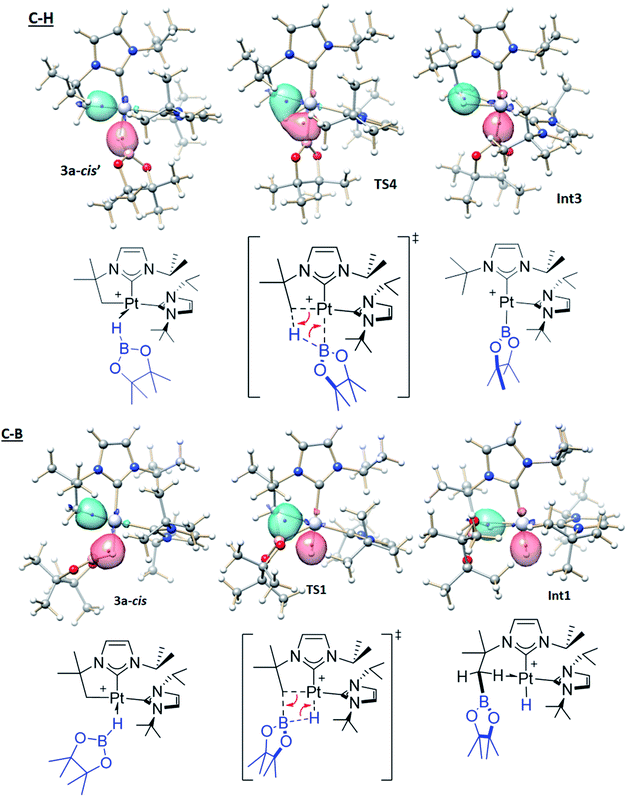 Reversible carbon–boron bond formation at platinum centers through σ-BH ...
