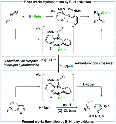 Organophosphorus-catalyzed relay oxidation of H-Bpin: electrophilic C–H ...