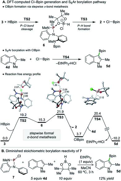 Organophosphorus-catalyzed relay oxidation of H-Bpin: electrophilic C–H ...