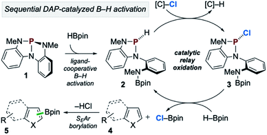 Organophosphorus-catalyzed relay oxidation of H-Bpin: electrophilic C–H ...