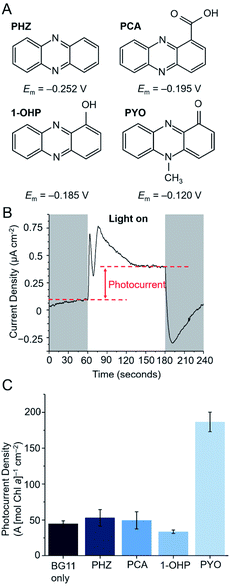 Phenazines as model low-midpoint potential electron shuttles for ...