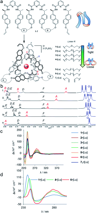 Effects of turn-structure on folding and entanglement in artificial ...