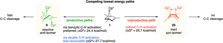 Selective cleavage of unactivated arene ring C–C bonds by iridium: key ...