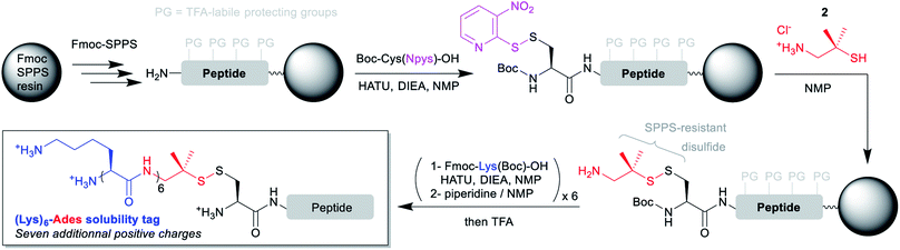 A straightforward methodology to overcome solubility challenges for N ...