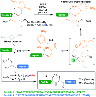 A straightforward methodology to overcome solubility challenges for N ...