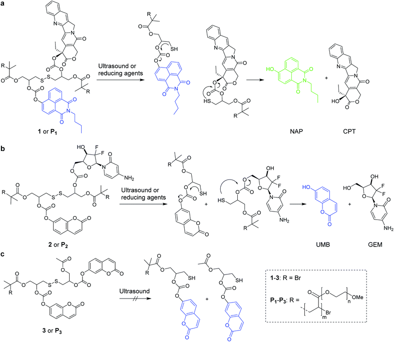Mechanochemical activation of disulfide-based multifunctional polymers ...