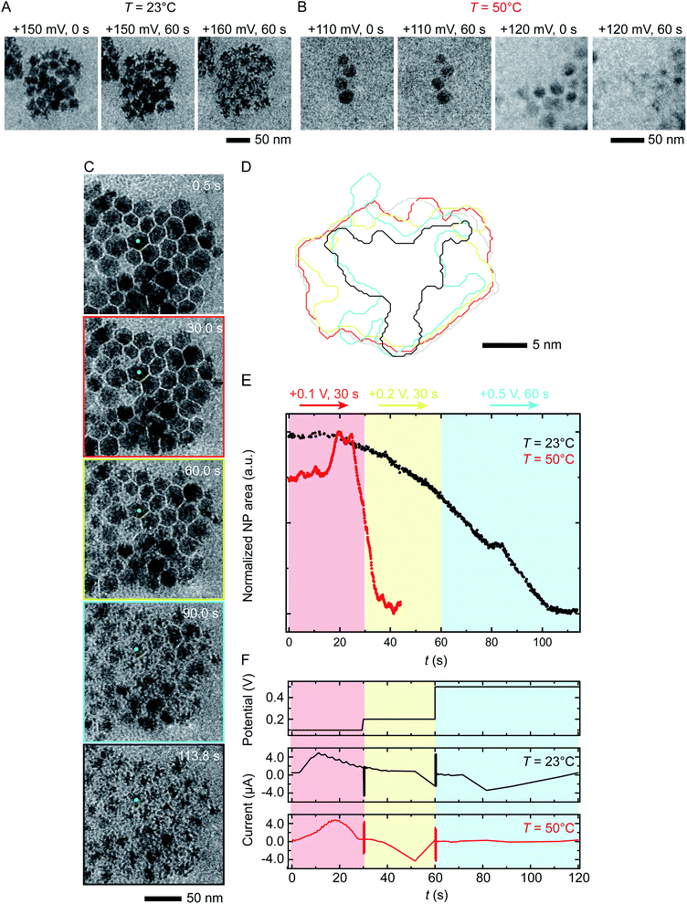 Real-time imaging of nanoscale electrochemical Ni etching under thermal ...