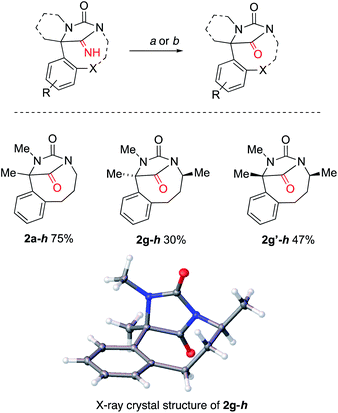 Hydantoin-bridged medium ring scaffolds by migratory insertion of urea ...