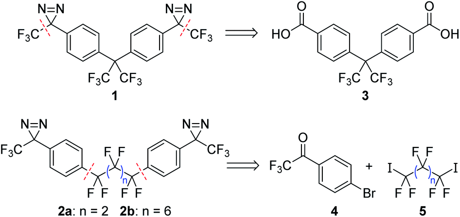 Flexible polyfluorinated bis-diazirines as molecular adhesives ...