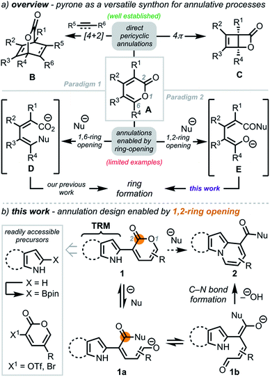 A pyrone remodeling strategy to access diverse heterocycles ...