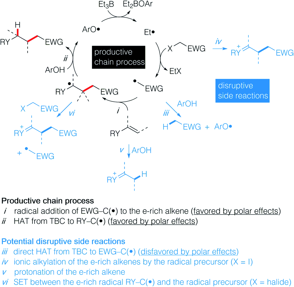 A Giese reaction for electron-rich alkenes - Chemical Science (RSC ...
