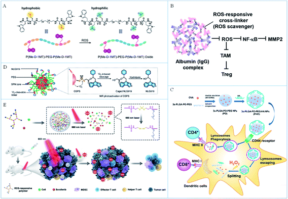 Intelligent stimuli-responsive nano immunomodulators for cancer ...