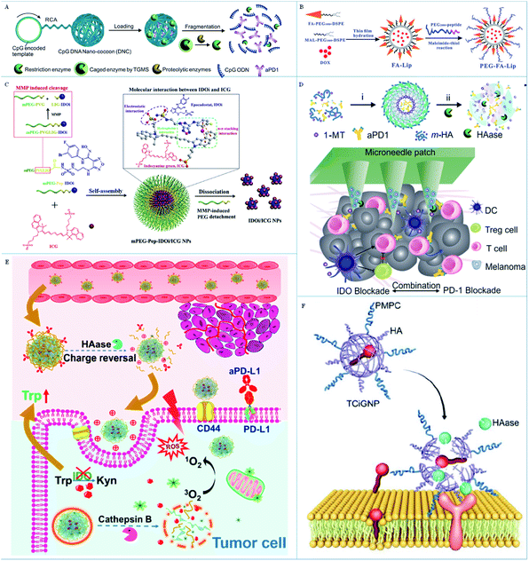 Intelligent stimuli-responsive nano immunomodulators for cancer ...