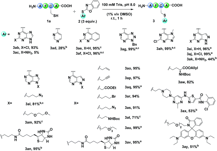 Cleavable and tunable cysteine-specific arylation modification with ...