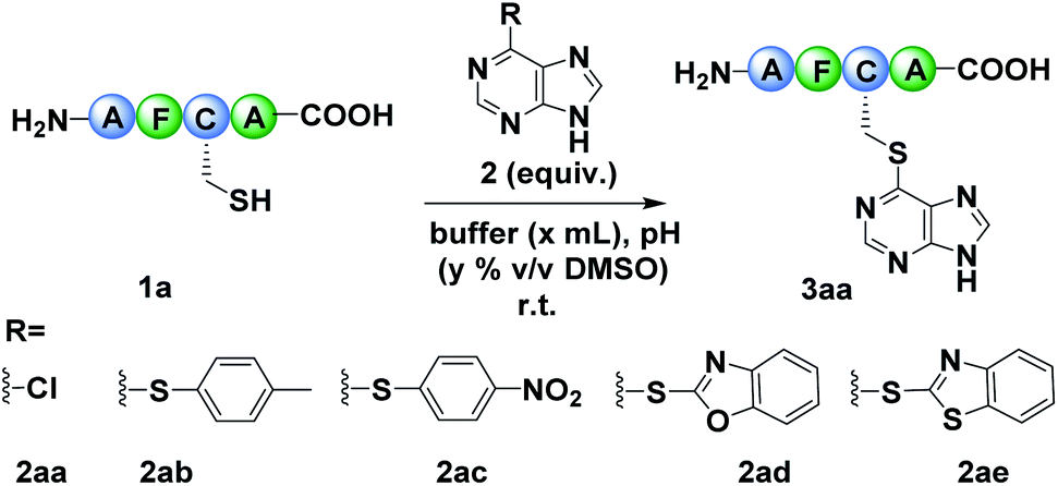 Cleavable and tunable cysteine-specific arylation modification with ...