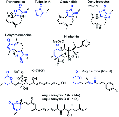 Electrophilic reactivities of cyclic enones and α,β-unsaturated ...